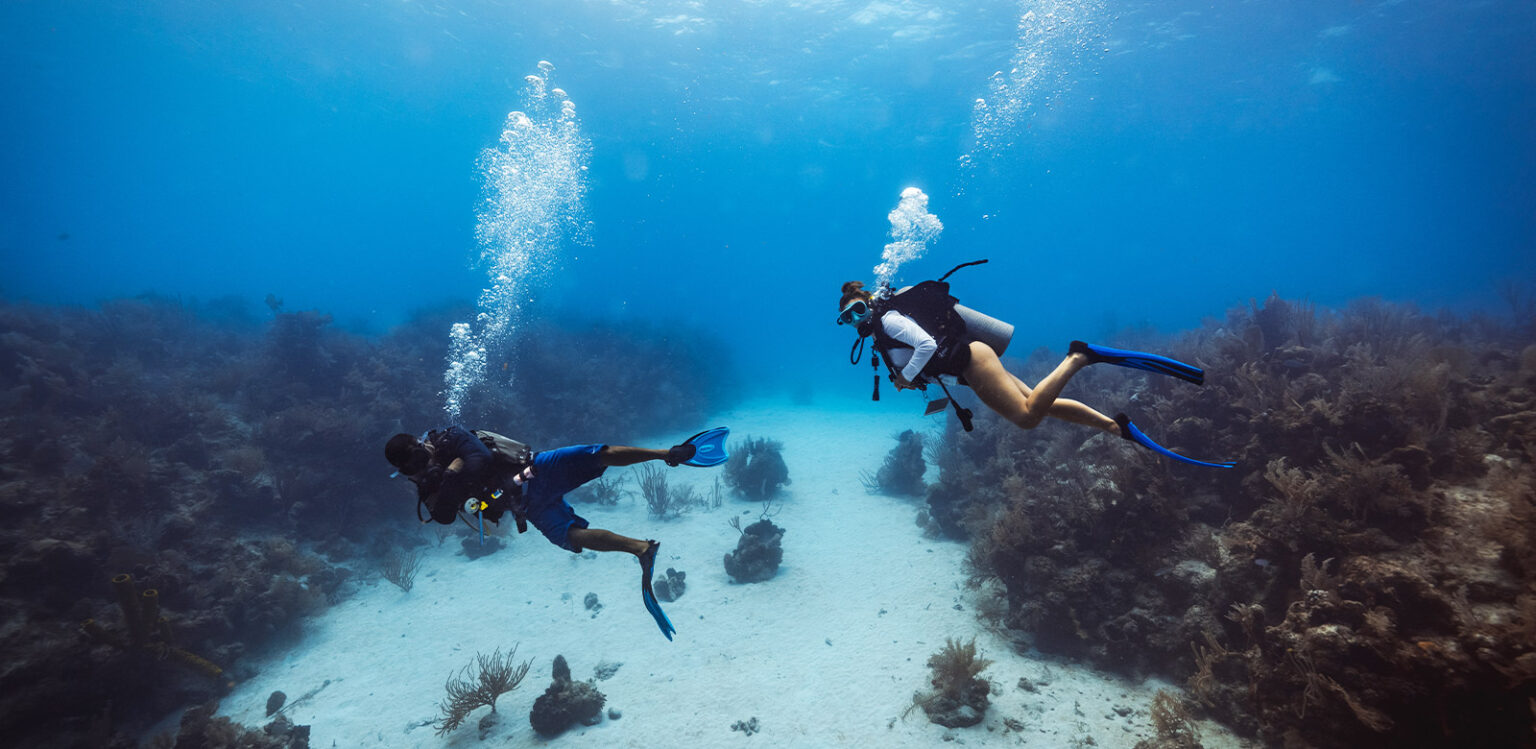 Belize Scuba Diving Tours | Glover's Reef Atoll | Blue Hole Diving