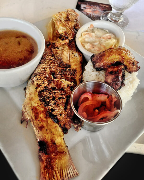 Belize Sportfishing: Chase Barracuda, Tarpon & Bonefish