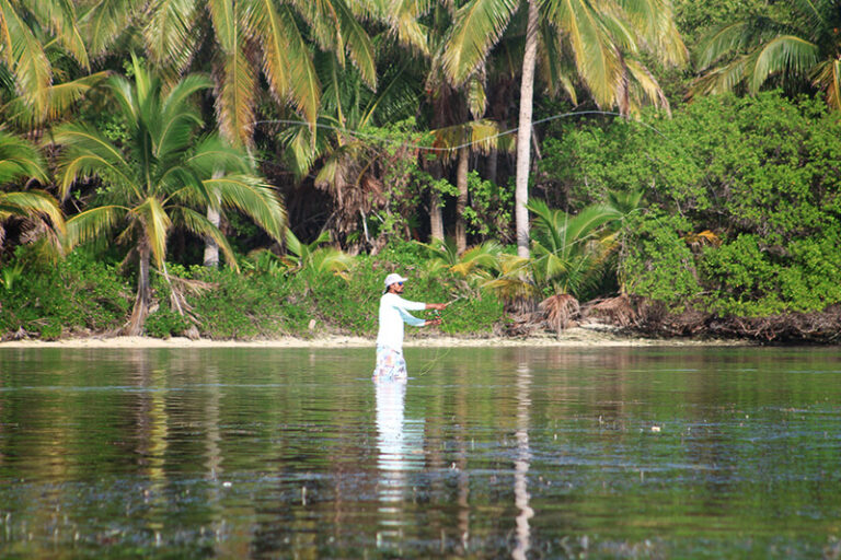Fly Fish at Manta Island Resort, Belize: Fish Are Always Biting!