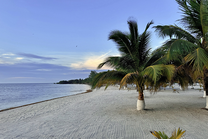Belize’s Ocean: The Highlight of Your All Inclusive Island Escape