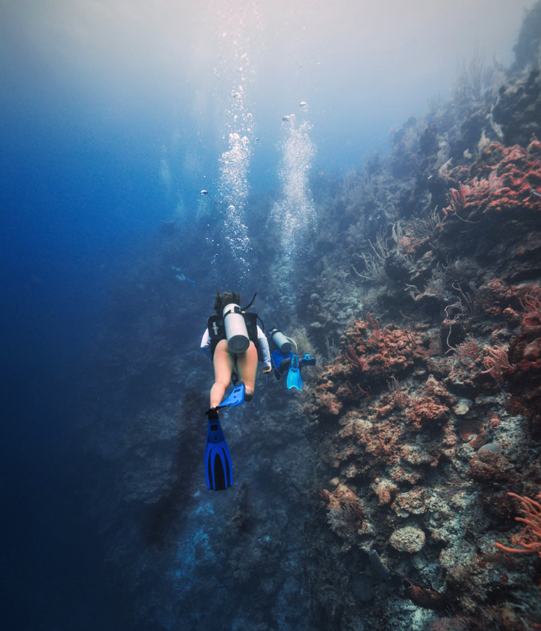 Fall Diving Adventures in Belize – Explore the Barrier Reef Crowd-Free